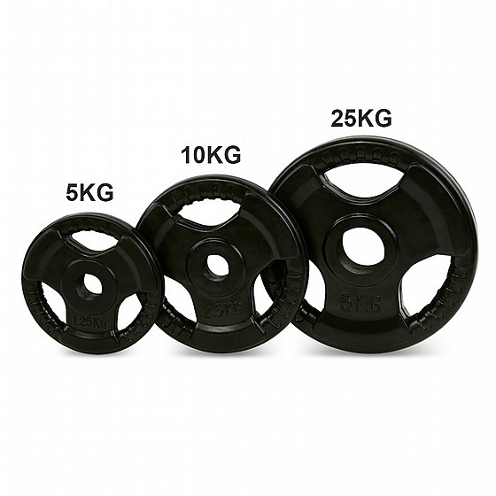 באלי buy - קנייה חכמה מתחילה כאן | משקולות צלחת גומי מקצועיות לאימוני כוח ושרירים CLIMEX CL-1302 ...